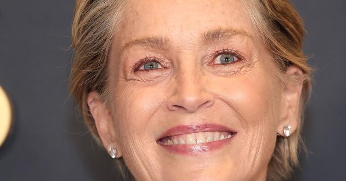 Po vzoru Pamele Anderson: 66-letna Sharon Stone si je s tem videzom z ...