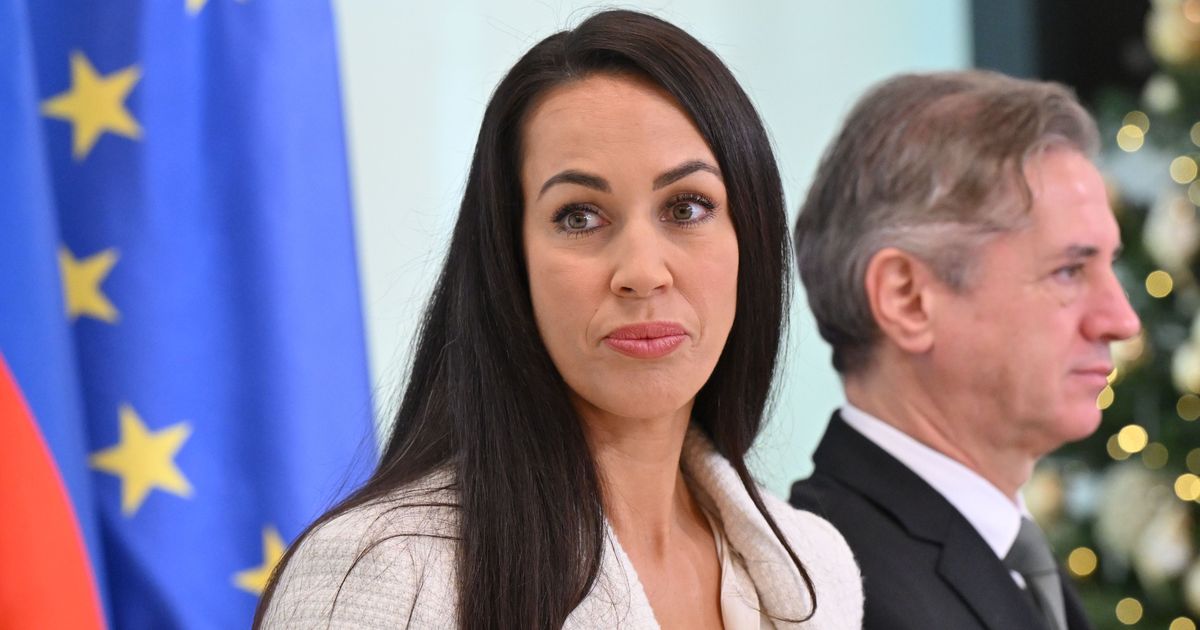 Tina Gaber presenetila na formalnem sprejemu na Brdu pri Kranju: so ...